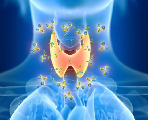 Patologie tiroidee | Endocrinologo Roma | Casini Alessandro